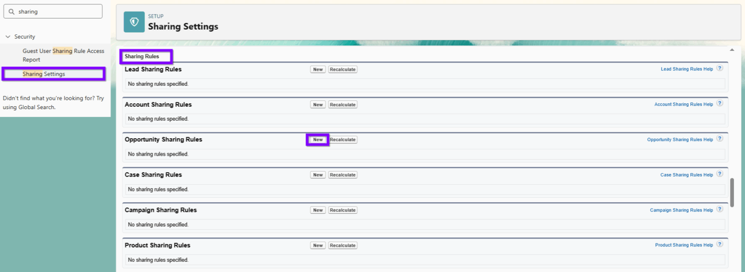 Salesforce Sharing Rules: A Complete Guide for Admins and Consultants ...