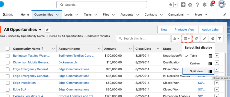 Salesforce List Views vs. Reports: Which Is Best to Use? | Salesforce Ben