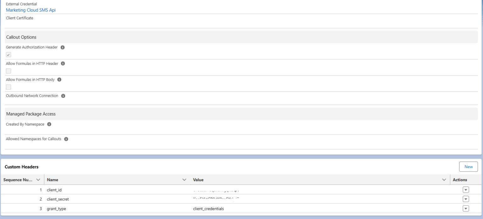 How to Send Custom SMS MFA in Experience Cloud With Marketing Cloud ...