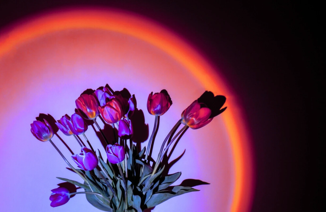 Salesforce Spring '26 Release: Everything You Need to Know Before Go ...