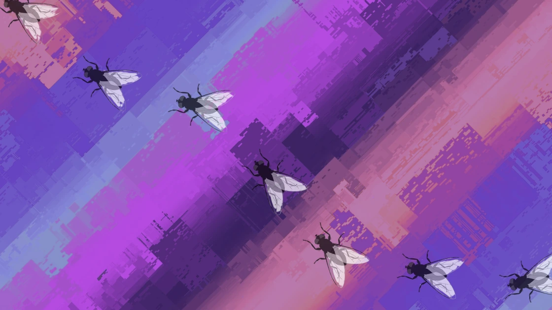 Your Guide to Debugging Salesforce Flows | Salesforce Ben